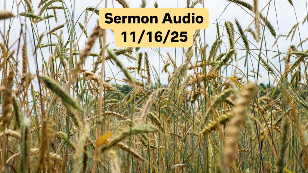 November 16, 2025 Sermon Audio - Christ United Methodist Church