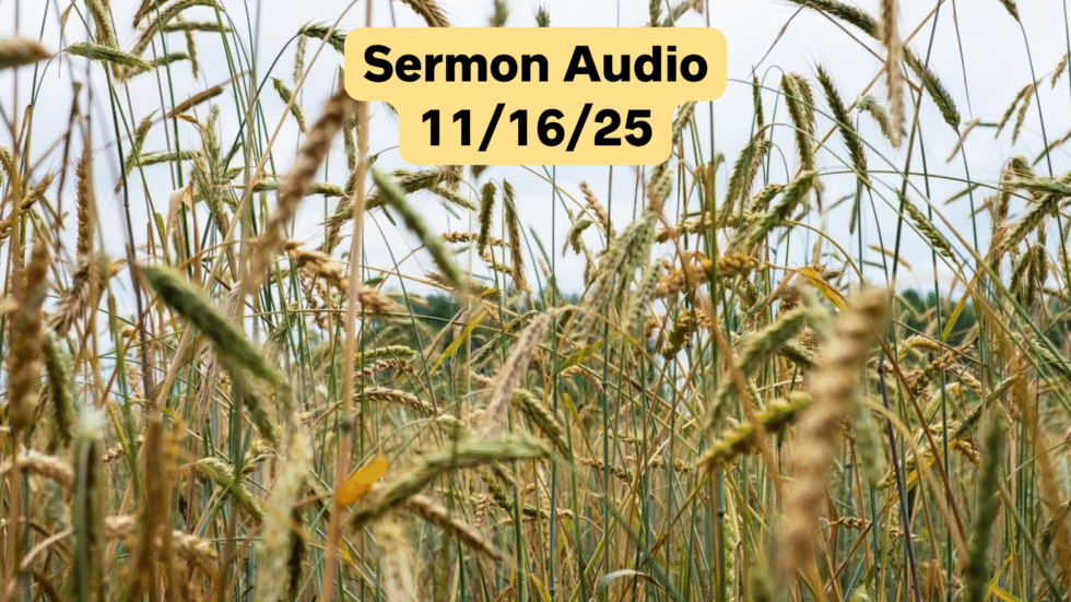 November 16, 2025 Sermon Audio - Christ United Methodist Church